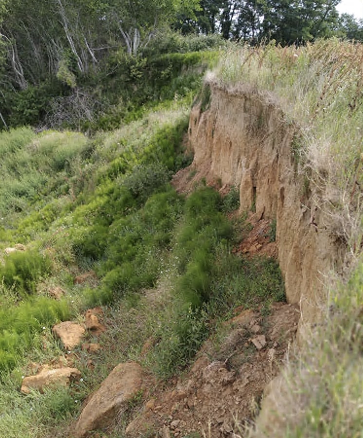Mission géotechnique de Diagnostic de talus et préconisation pour la ...