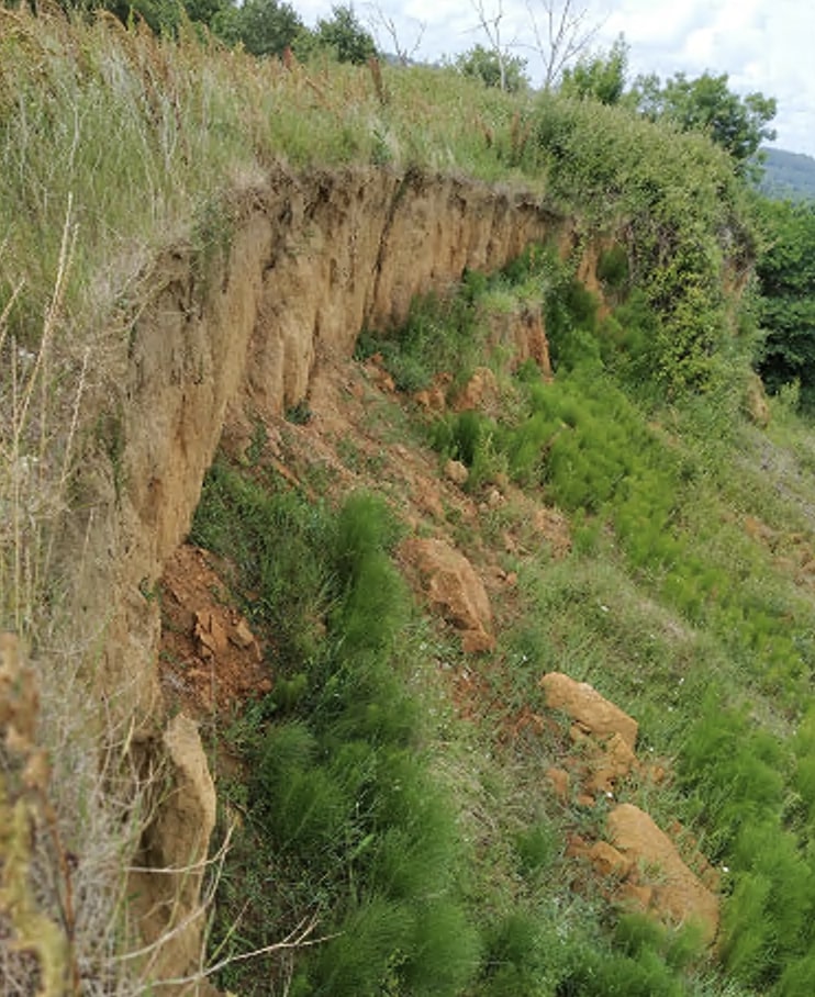 Mission géotechnique de Diagnostic de talus et préconisation pour la ...